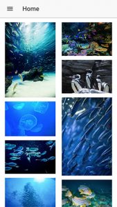 IonicでMasonryレイアウト – 株式会社クオックス｜QOX Inc.